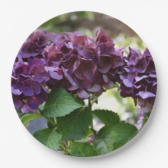 Red Violet Hydrangea Blooms Floral Paper Plates | Zazzle
