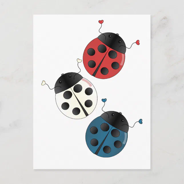 Red White and Blue Ladybugs Postcard | Zazzle