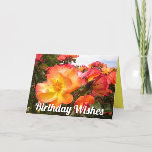 Red Yellow Orange Rose Roses Flowers Birthday Card | Zazzle
