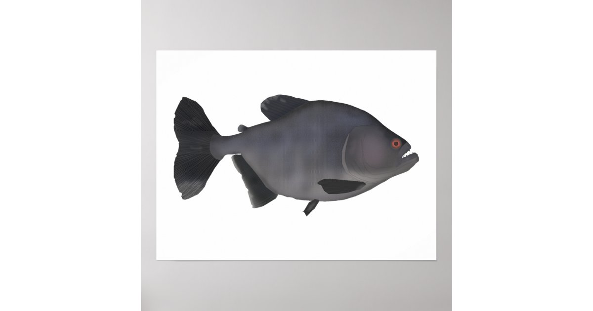 Redeye Piranha Poster | Zazzle