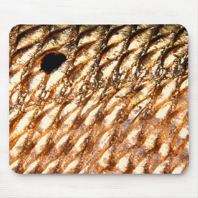 "Redfish" - Red Drum by PatternWear© Mouse Pad | Zazzle