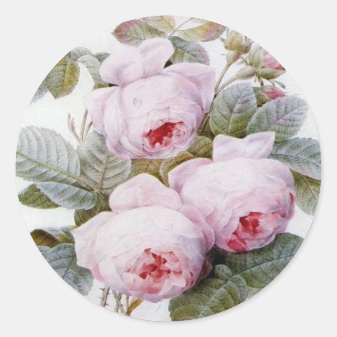 Redoute Pink Roses Round Sticker | Zazzle
