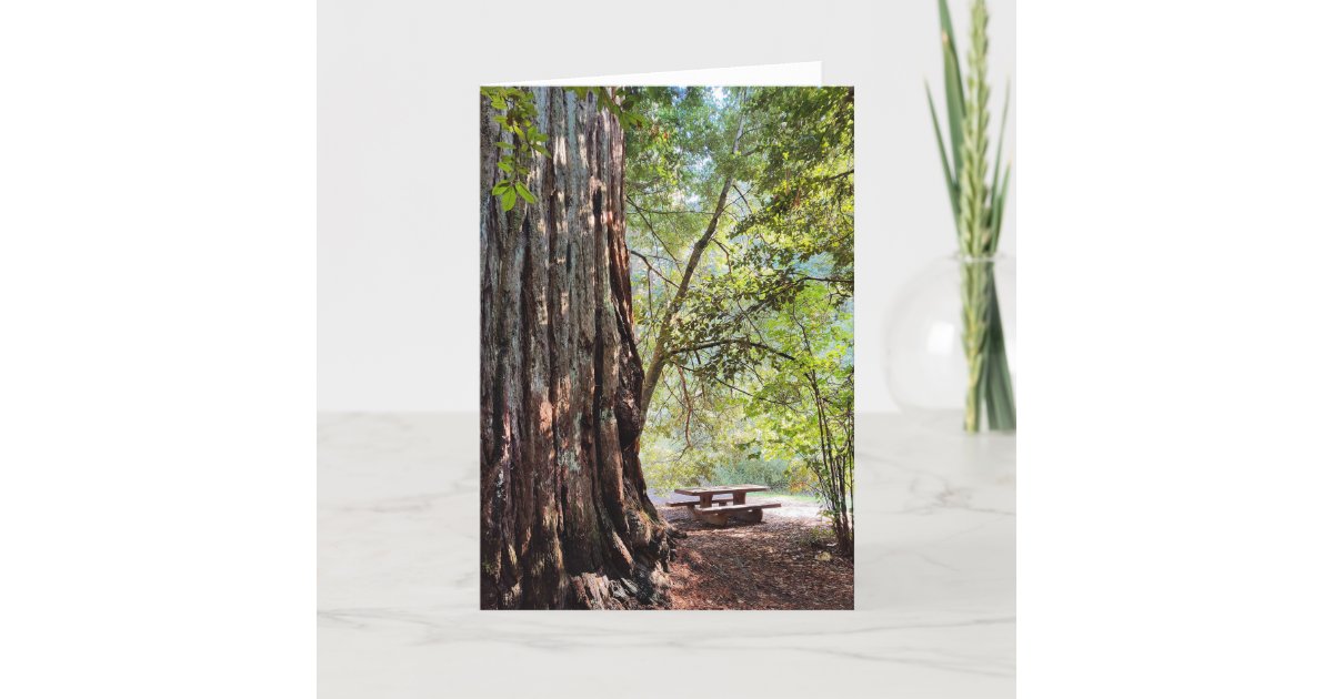 Redwood Forest Note Card | Zazzle