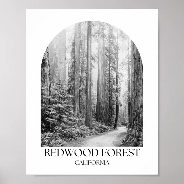 Redwood National Park California Arch Photo Print | Zazzle