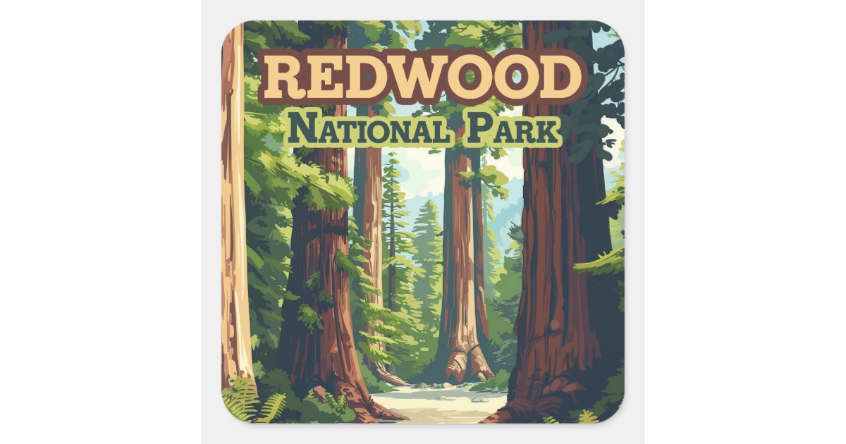 Redwood National Park California Tree Retro Square Sticker | Zazzle