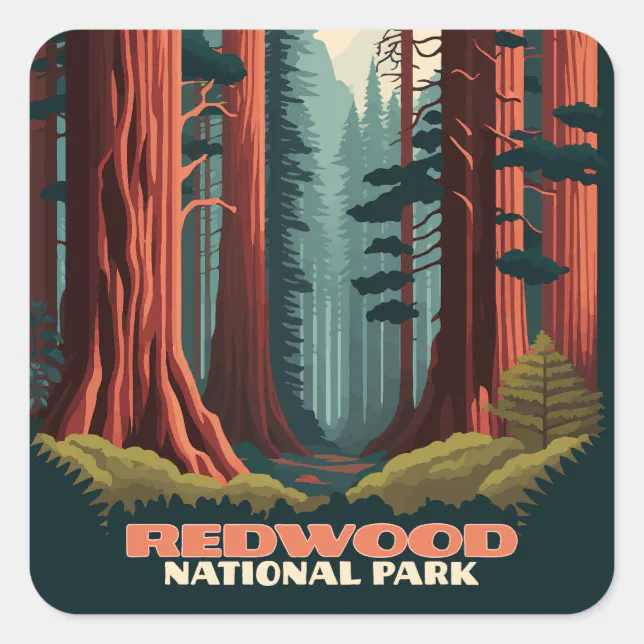 Redwood National Park California Trees Square Sticker | Zazzle