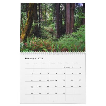 Redwood State Parks Calendar | Zazzle