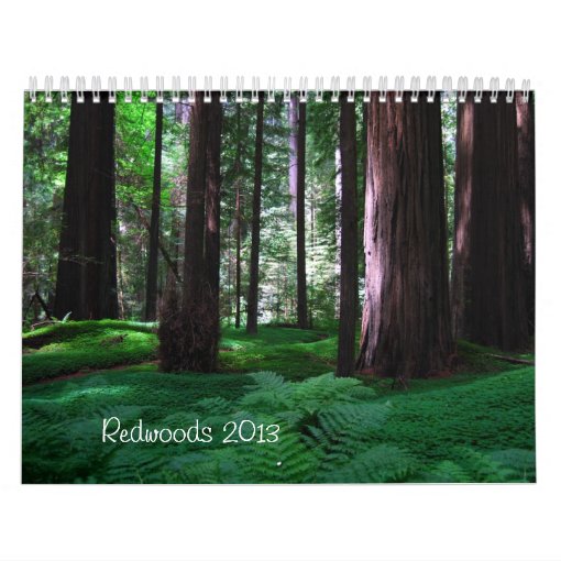 Redwood State Parks Calendar | Zazzle