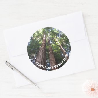 Redwood Trees Photo Earth Day Classic Round Sticker | Zazzle