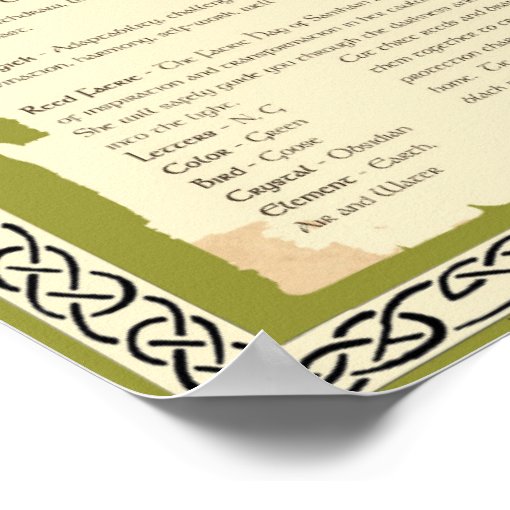 REED CELTIC SACRED TREE POSTER | Zazzle