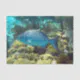 Reef Fish Tissue Paper | Zazzle