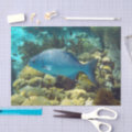Reef Fish Tissue Paper | Zazzle