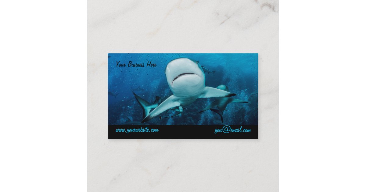 Reef Shark Business Card | Zazzle