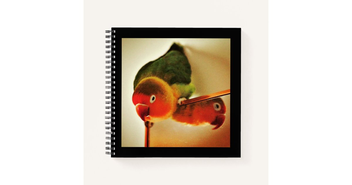 Reflection notebook | Zazzle