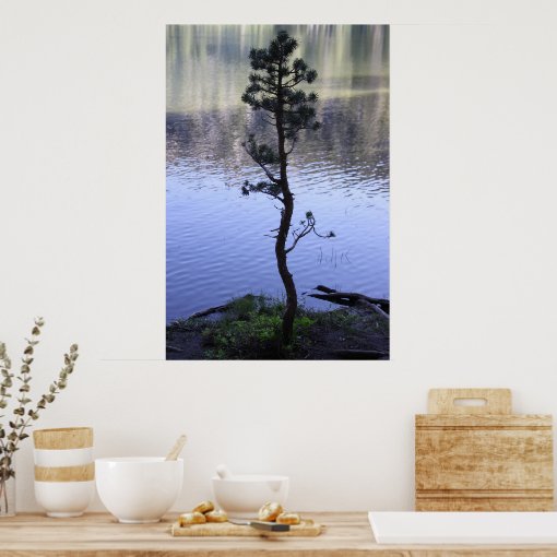 Reflections- Tree Poster | Zazzle