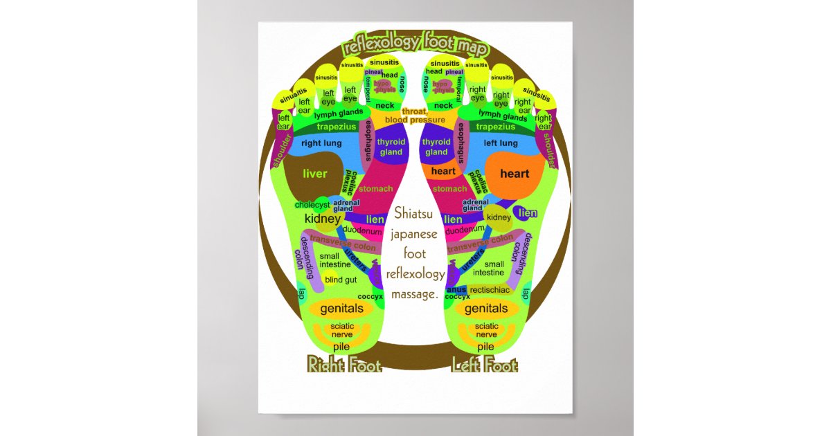 reflexology foot map classic round sticker poster | Zazzle