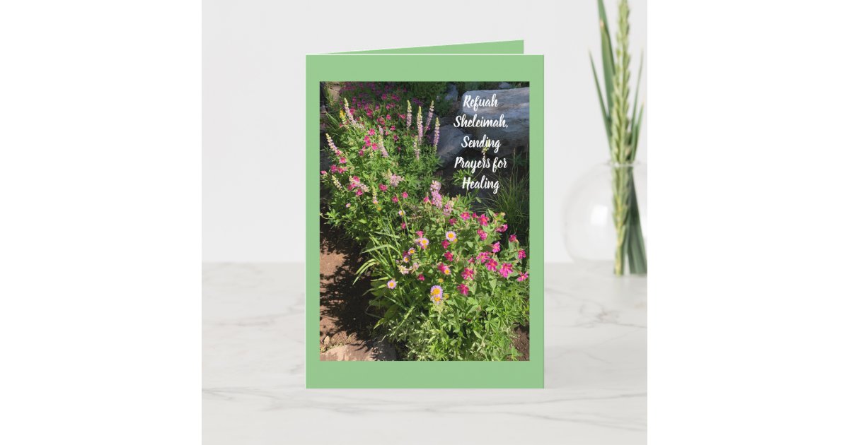 Refuah Sheleimah, Send Healing Card | Zazzle