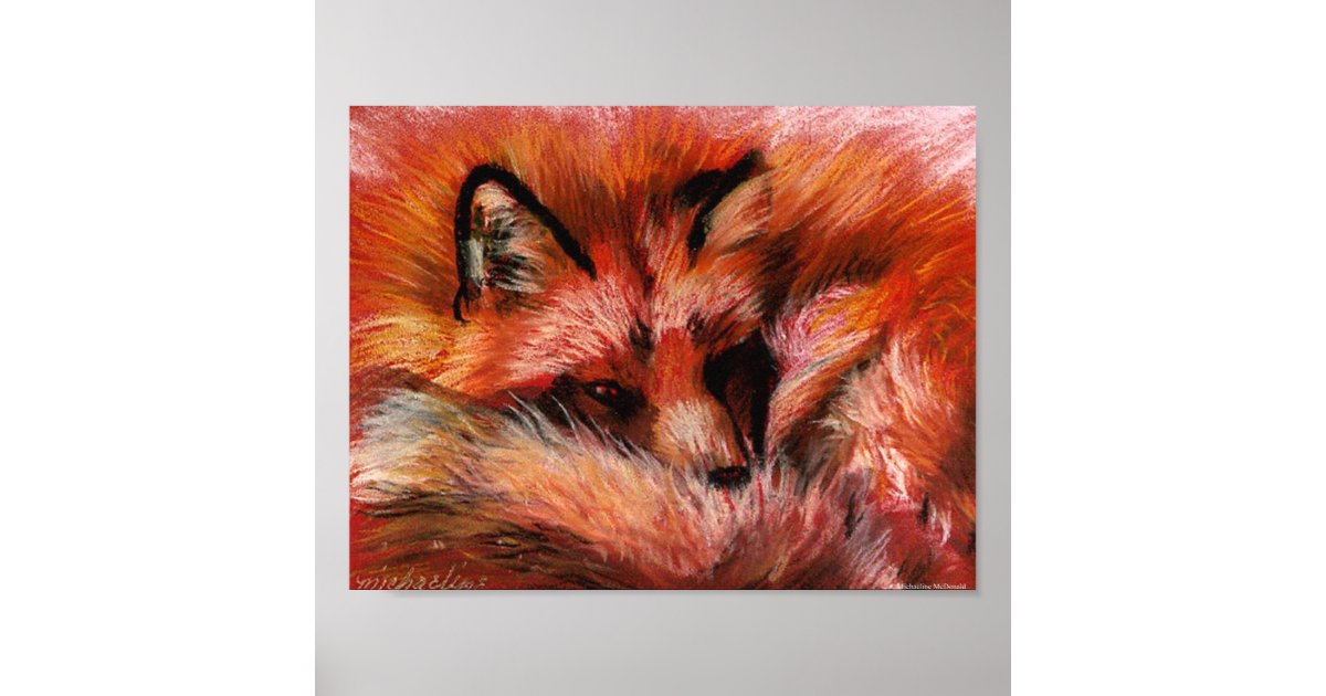Refuge Fox Poster | Zazzle