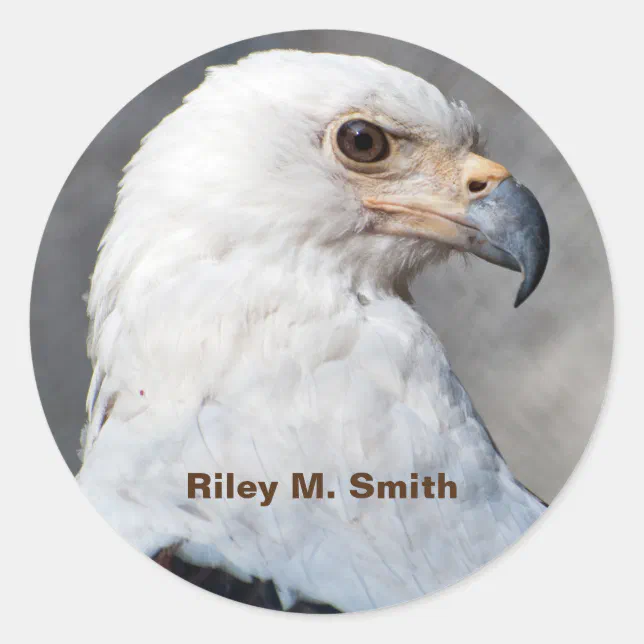 Regal American Bald Eagle Portrait Name Classic Round Sticker | Zazzle