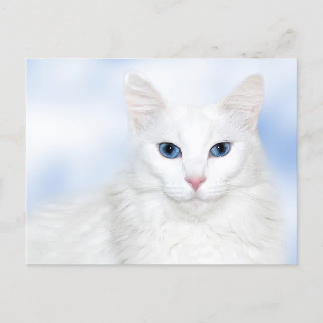 Regal white cat postcard | Zazzle