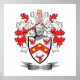 Reid Family Crest Coat of Arms Poster | Zazzle