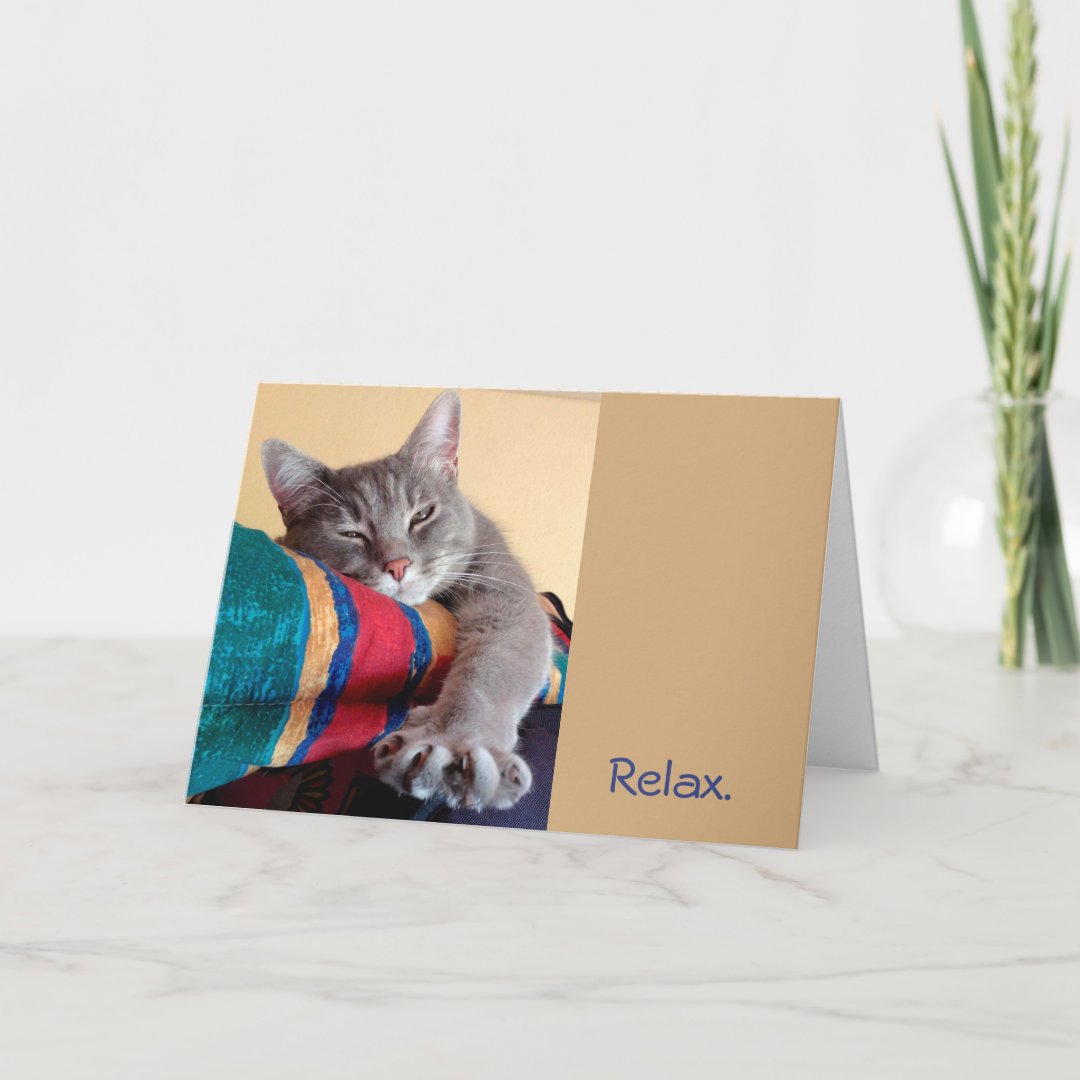 Relax...It's a Cat Themed Farewell Retirement Card | Zazzle