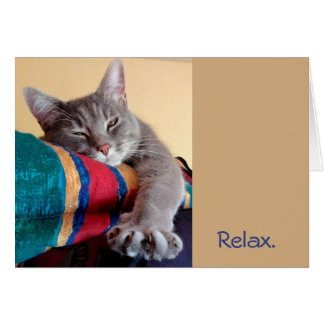 Cat Retirement Invitation