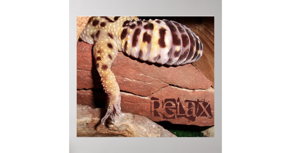 "Relax" Lounging Lizard Leopard Gecko Poster | Zazzle