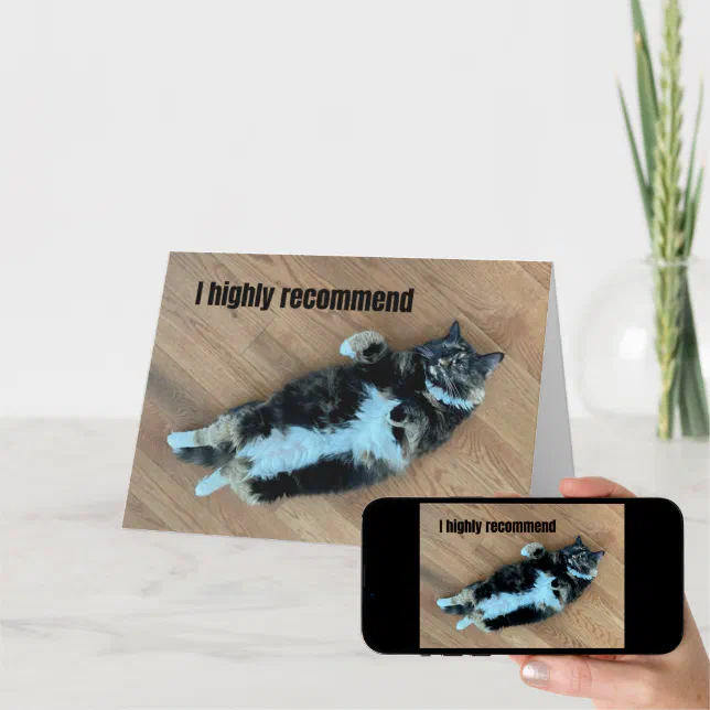 Relaxed Cat with Medical Grade Catnip Get Well Card | Zazzle