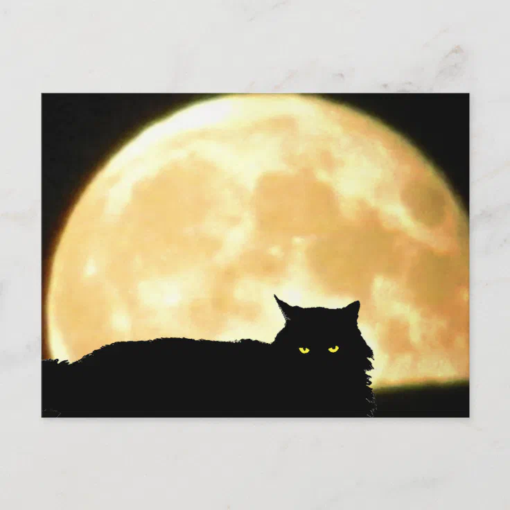 Relaxing Black Cat and Full Moon Postcard | Zazzle