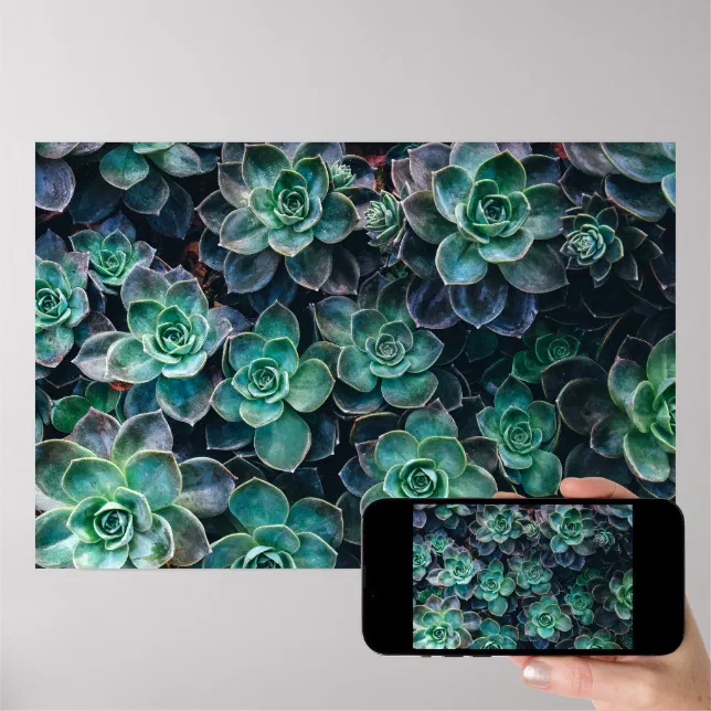Relaxing Green Blue Succulent Cactus Plants Poster | Zazzle