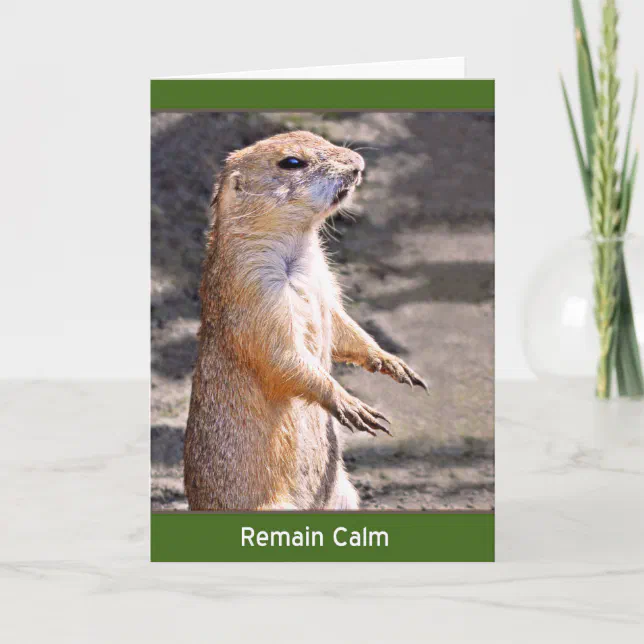 Remain Calm Card | Zazzle