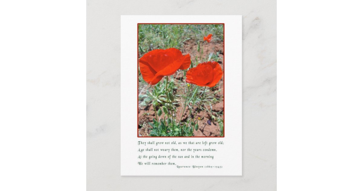 Remembrance Postcard | Zazzle