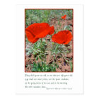 Lest We Forget Memorial Day Postcard | Zazzle.com