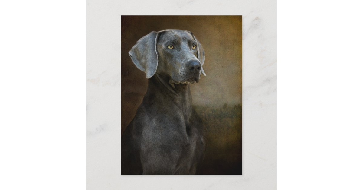Renaissance Blue Postcard | Zazzle