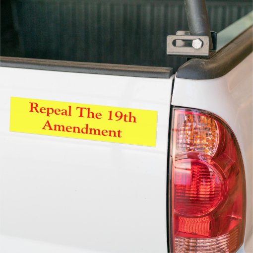 Repeal The 19th Amendment Bumper Sticker | Zazzle