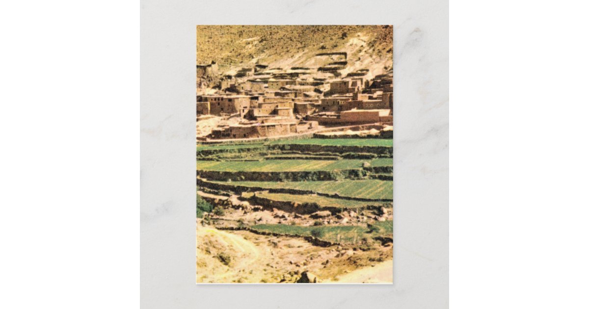 Replica Vintage Terraces of Maize, Berber village Postcard | Zazzle