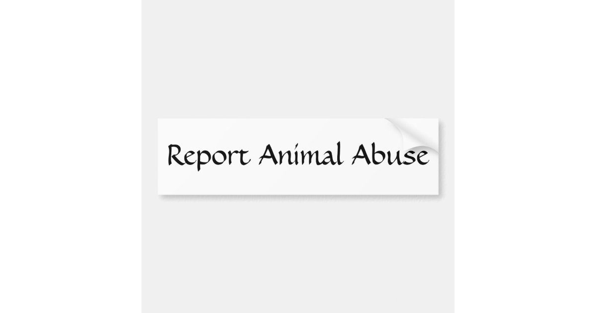 Report Animal Abuse Bumper Sticker | Zazzle