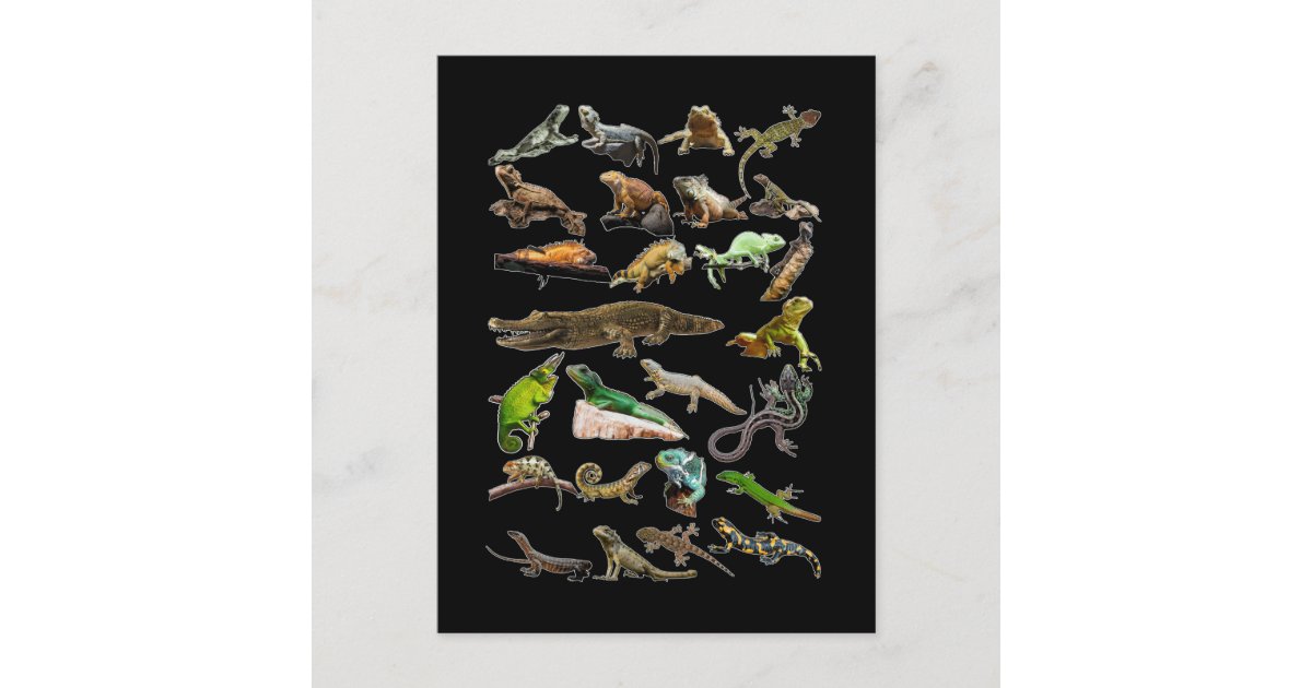 Reptile Collage Lizard Gecko Bearded Dragon Postcard | Zazzle