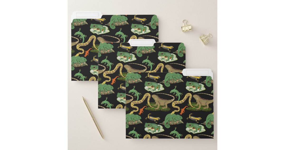 Reptile, Lizards & Amphibians Pattern File Folder | Zazzle