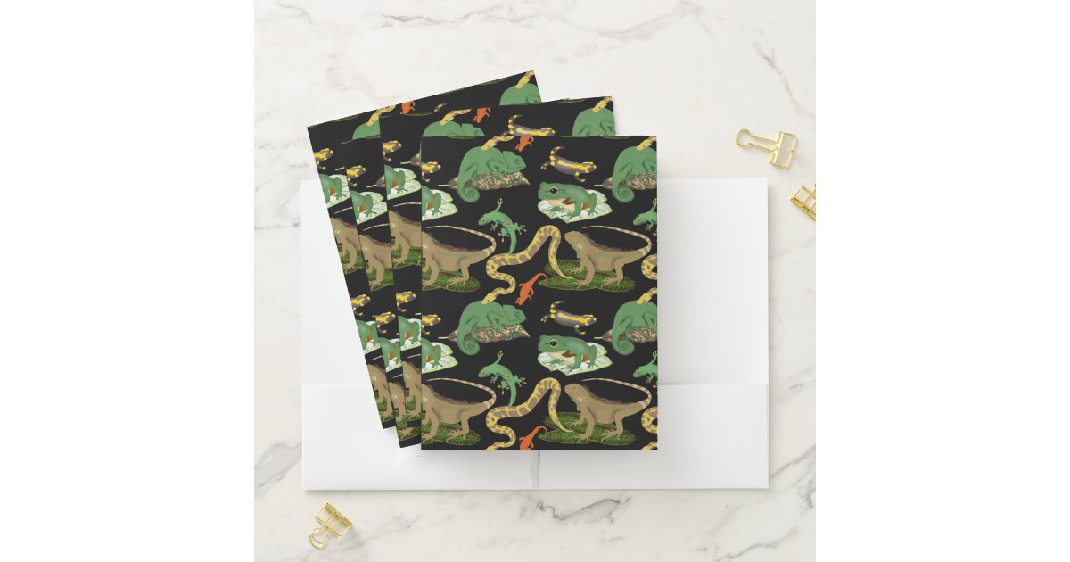 Reptile, Lizards & Amphibians Pattern Pocket Folder | Zazzle