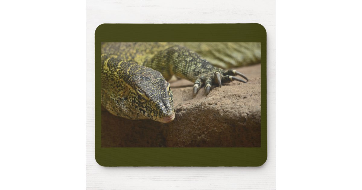 Reptile Nile Monitor Lizard Mousepad | Zazzle