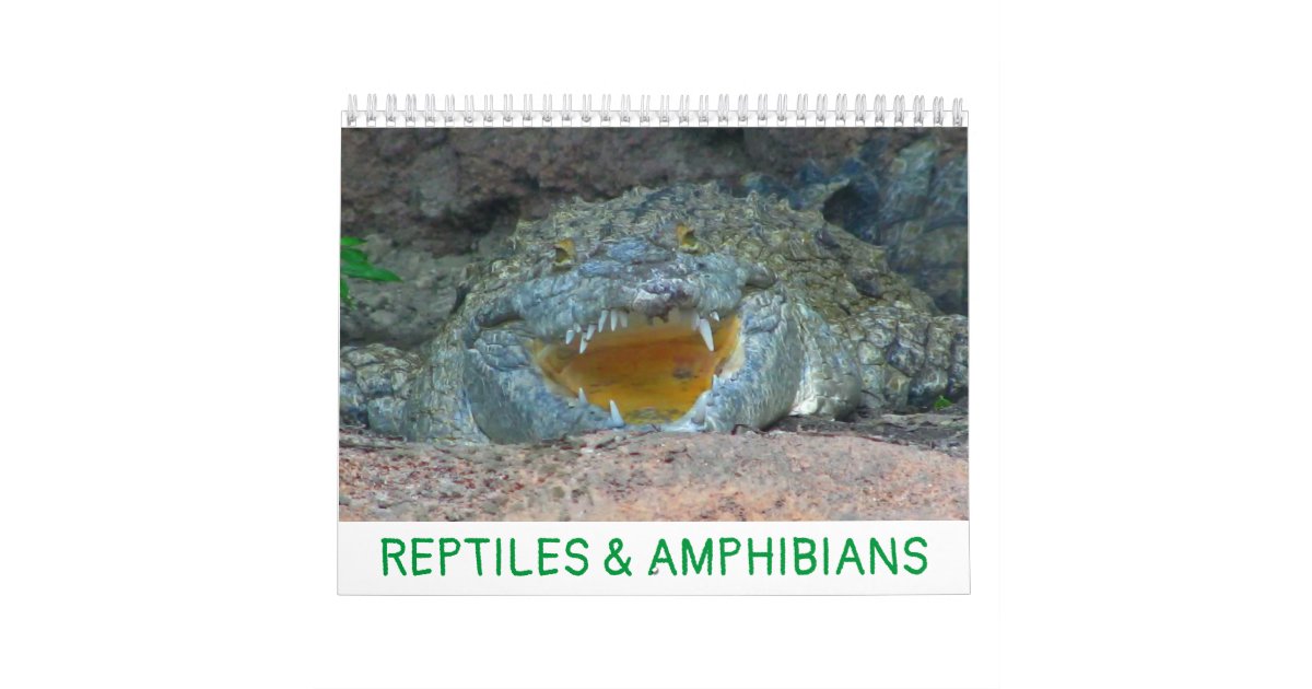 Reptiles & Amphibians Calendar | Zazzle