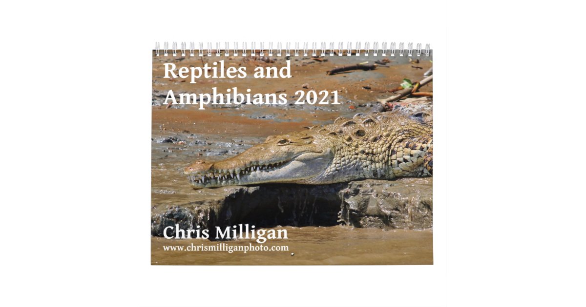 Reptiles and Amphibians 2021 by Chris Milligan Calendar | Zazzle