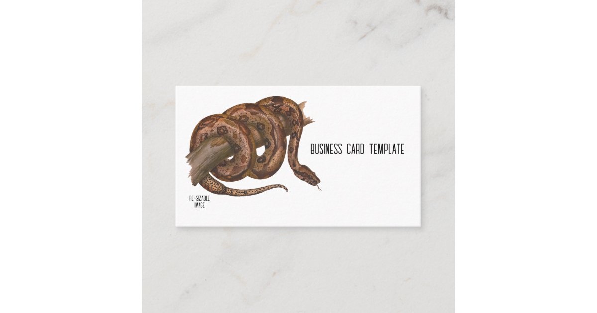 Reptiles Boa Constrictor Snake Business Card | Zazzle
