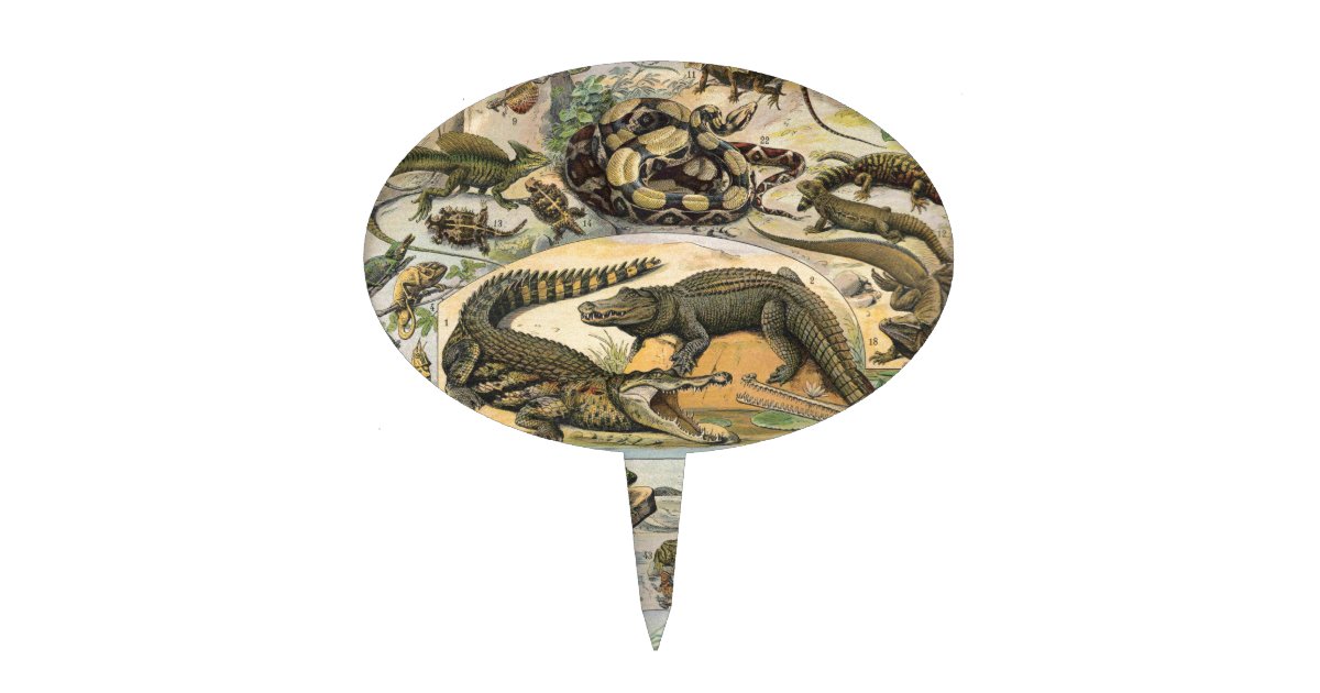 Reptiles Cake Topper | Zazzle