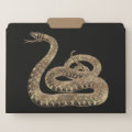 Reptiles - lizzards, snake and snakeskin pattern file folder | Zazzle