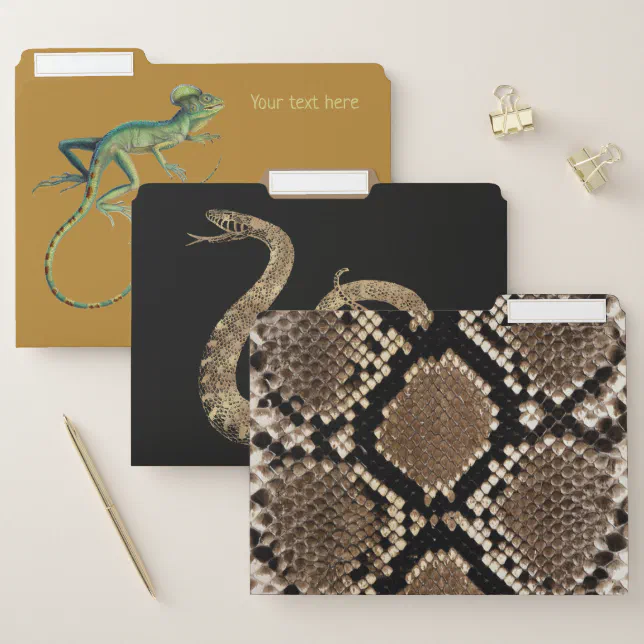 Reptiles - lizzards, snake and snakeskin pattern file folder | Zazzle