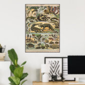 Reptiles Poster | Zazzle