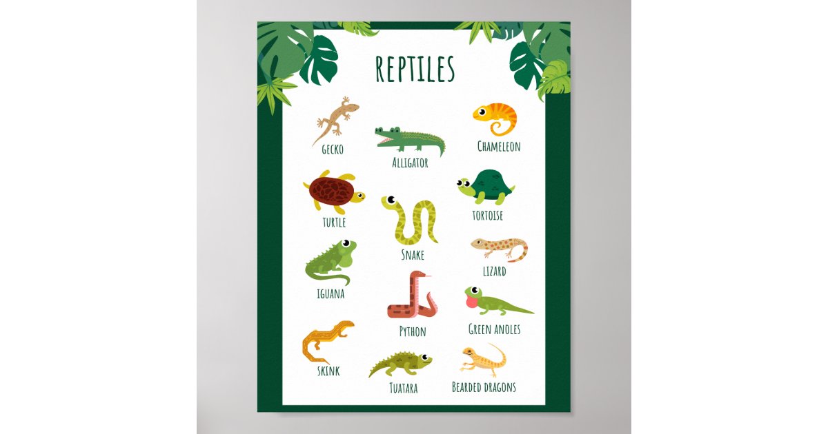 Reptiles School Education Learning Poster | Zazzle